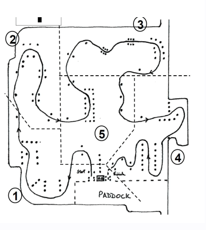 AutoSolo and AutoTests | Grass Roots Motor Sport - UK